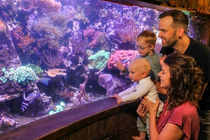 Hanover: SEA LIFE Entry Ticket - Key Points