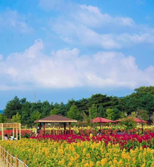 Hantan Canyon & Goseokjeong Flower Garden & Pink Muhly Park - Introduction