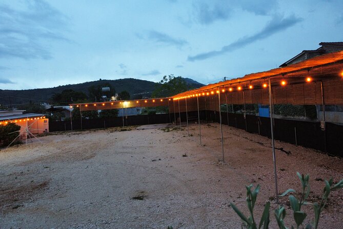 Happy Camping Berat - Is This the Right Choice for You?