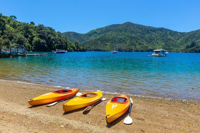 Happy Hour Cruise to Lochmara -from Picton? Take a short cruise - The Value Factor