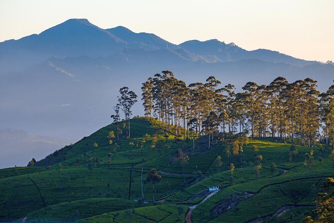 Haputale Highlands from Nuwara Eliya - A Complete Breakdown of the Tour