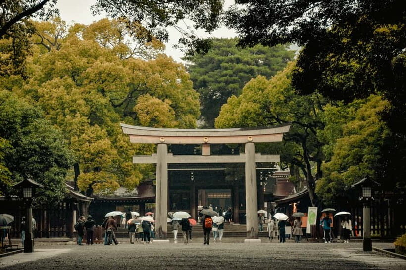 Harajuku's Contrast: Shrine, Pop Culture & Animal Cafe - Key Points