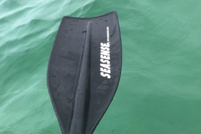 Harbor Kayak Rental in Destin, Florida - An In-Depth Look at the Destin Kayak Experience