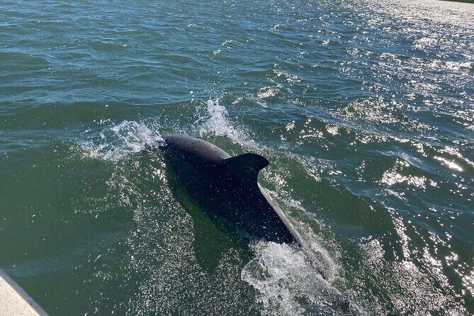 Harborside Orange Crush Cruise - Final Thoughts