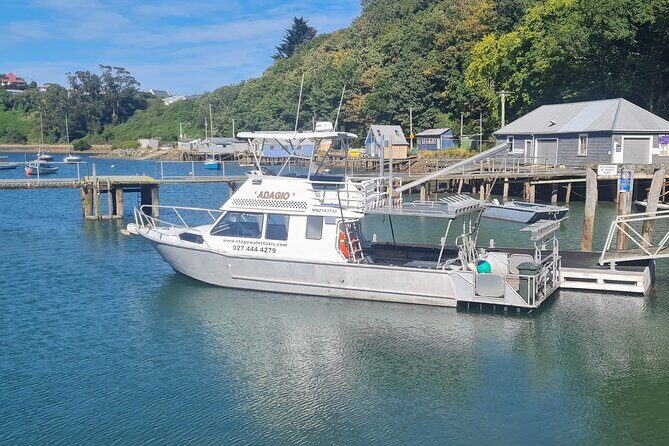 Harbour, Albatross and Wildlife Cruise on Otago Harbour - The Final Word