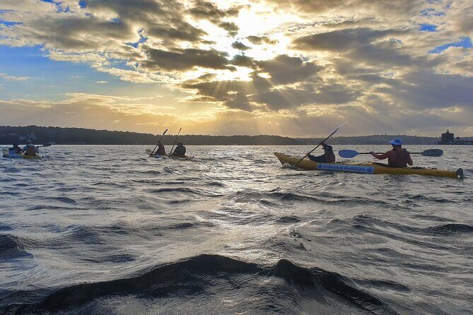 Harbour Bridge Breakfast Paddle - A Detailed Look at the Harbour Bridge Breakfast Paddle