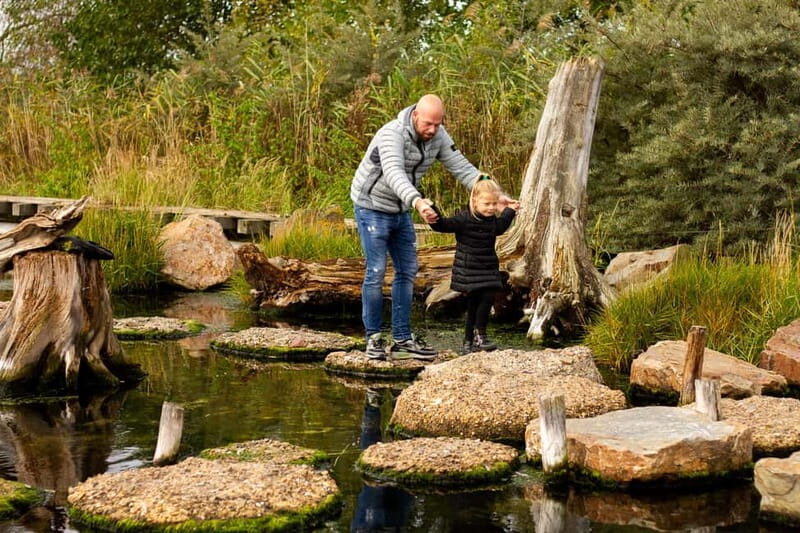 Harderwijk: Dolfinarium Entry Ticket - Exploring the Dolfinarium: What to Expect