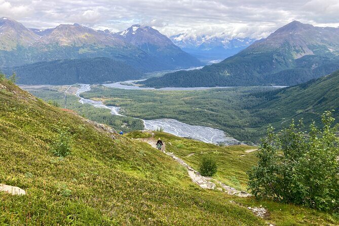 Harding Icefield Trail Hiking Tour - Authentic Experiences from Past Participants
