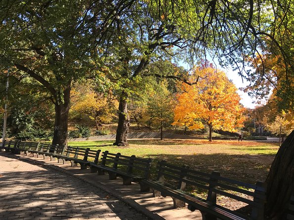 Harlem Gospel and Brunch Guided Tour - Accessibility and Comfort for All Travelers