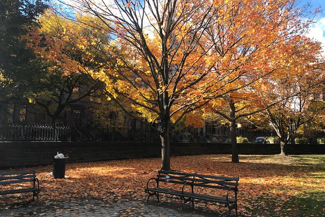 Harlem Walking Tour: Mount Morris Park Historic District W/ Lunch - Highlights of the Mount Morris Park Historic District