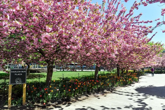 Harlem Walking Tour: Mount Morris Park Historic District W/ Lunch - The Role of the Harlem Renaissance