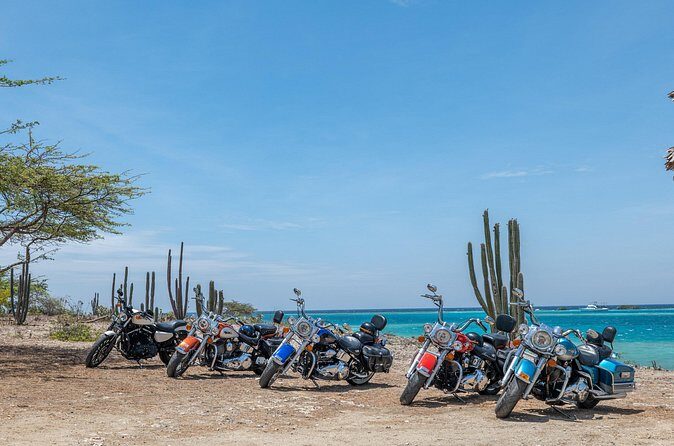 Harley-Davidson RENTALS ONLY 4 hrs - The Practicalities: Booking, Cancellation, and Safety