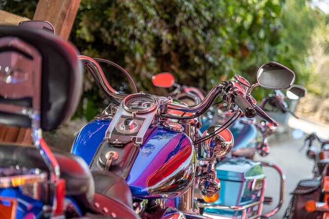 Harley-Davidson RENTALS ONLY 4 hrs - Is This Experience Right for You?