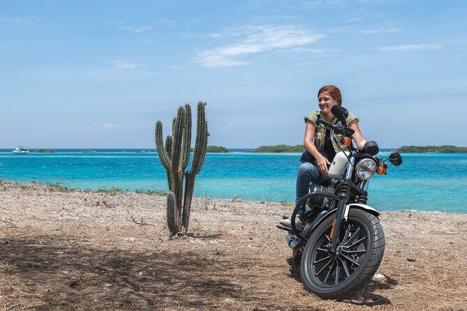 Harley-Davidson RENTALS ONLY 4 hrs - Final Thoughts