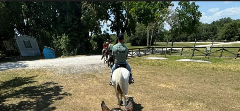 Harmony Horse Riding of Miami - Introduction