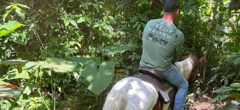 Harmony Horse Riding of Miami - The Ride: An Authentic and Scenic Experience