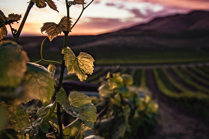 Haro, Laguardia and two Rioja wineries from Bilbao - Introduction