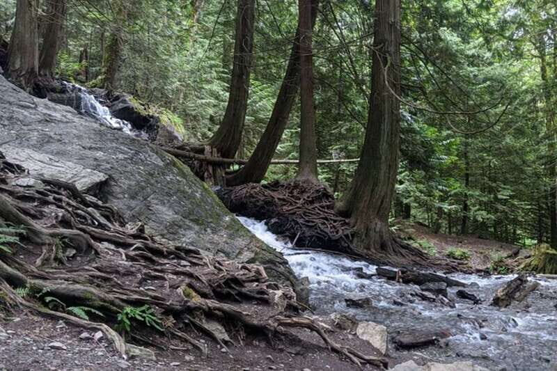 Harrison Day Trip | Harrison Hot Springs Private - An In-Depth Look at the Harrison Day Trip