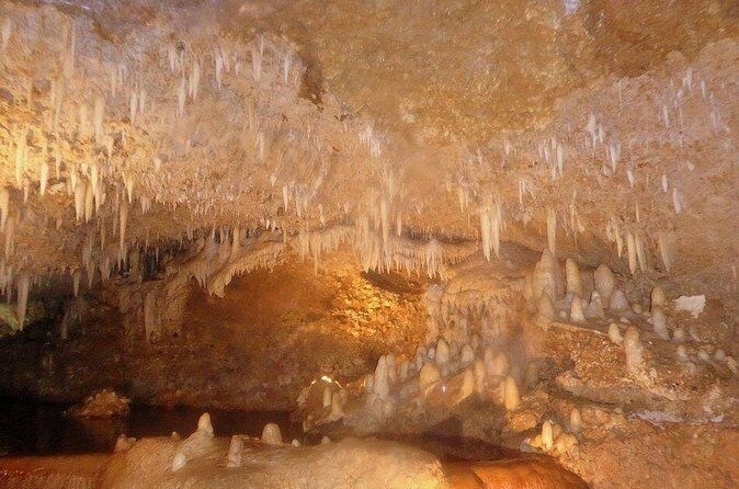 Harrison's Cave Tour from Bridgetown - Authentic Reviews and Feedback