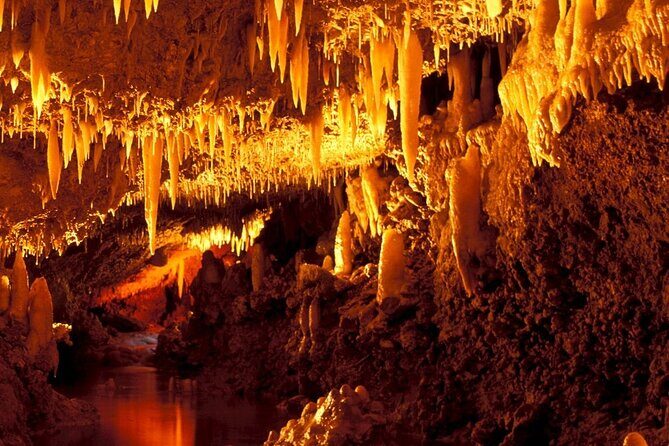 Harrison's Cave Tour in Barbados - Authentic Experiences and Real Feedback