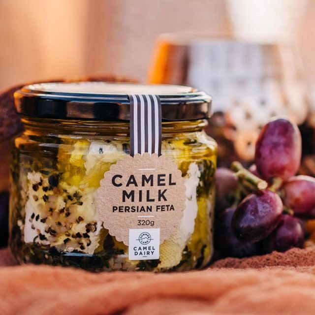 Harrisville: Summer Land Camel Farm Tour with Tasting - Who Will Love This Tour?
