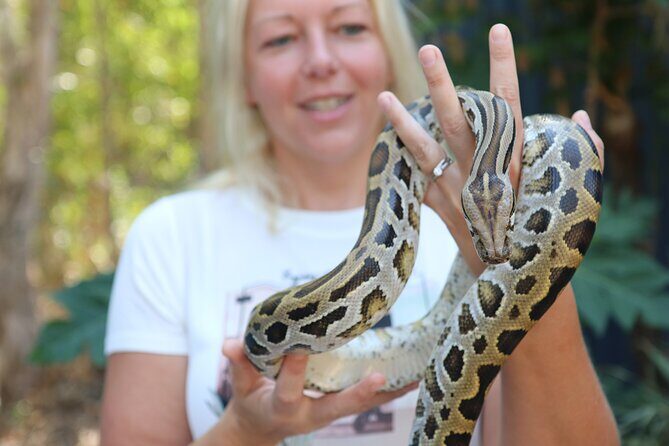 Hartley Crocodile Park with Kuranda, Skyrail Cableway and Train - Final Thoughts