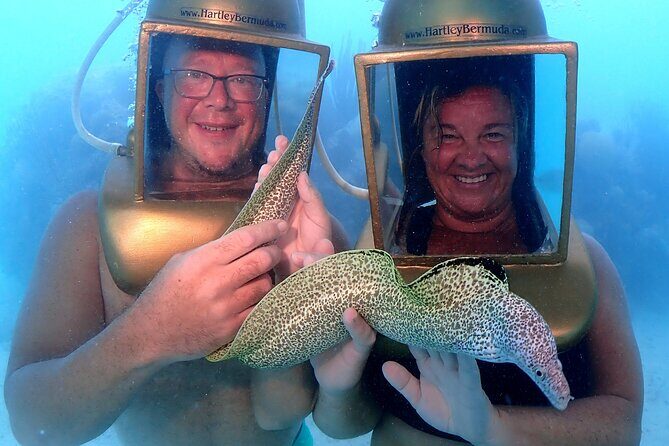 Hartley Helmet Diving in Bermuda - Who Will Love This Experience?