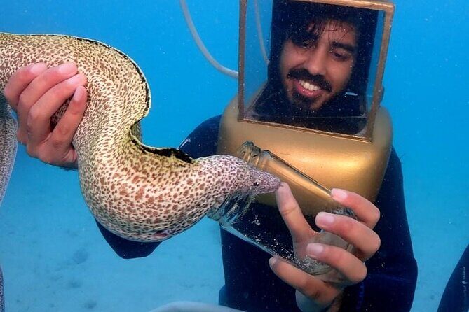 Hartley Helmet Diving in Bermuda - Practical Tips for Your Bermuda Helmet Diving Tour