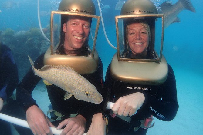 Hartley Helmet Diving in Bermuda - Who Is This Tour Best For?
