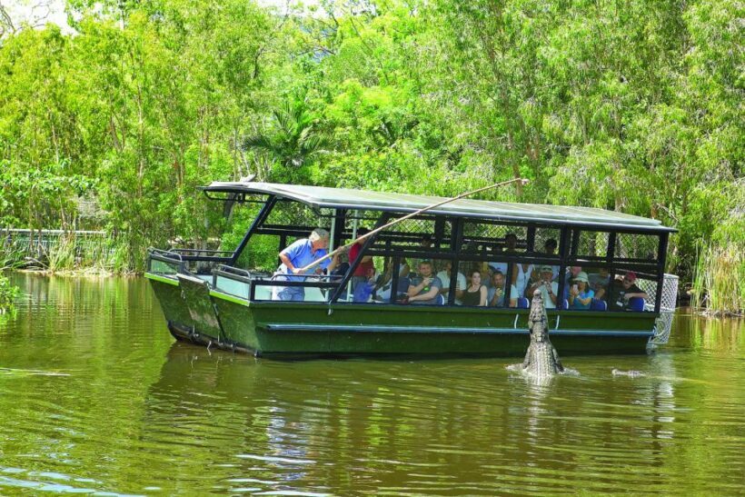 Hartley's Crocodile Adventures Park Entry - Key Points