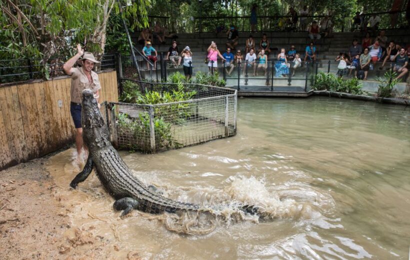 Hartley's Crocodile Adventures Park Entry - A Practical Look at Hartleys Crocodile Adventures
