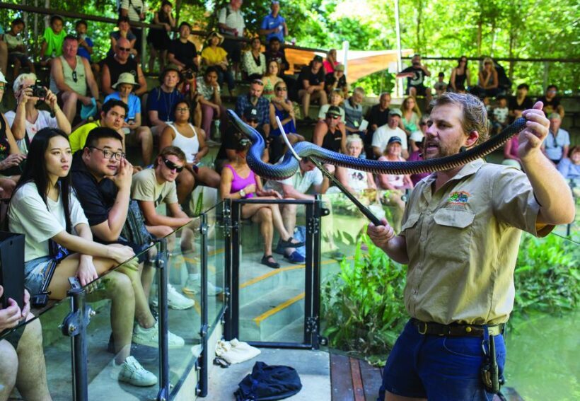 Hartley's Crocodile Adventures Park Entry - FAQs
