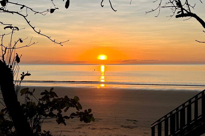 Hartleys Crocodile Adventures Plus Return Port Douglas Transfers - An In-Depth Look at the Experience