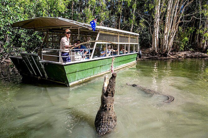HARTLEY'S CROCODILE TRANSFER between Port Douglas & Hartley's Crocodile (return) - An In-Depth Look at the Hartleys Crocodile Transfer