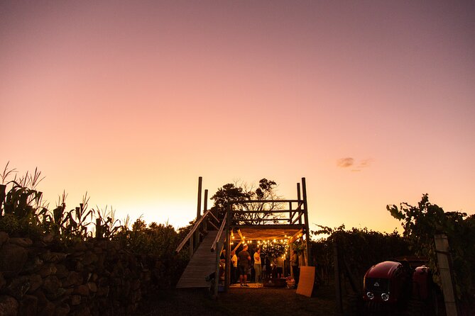 Harvest Evening - Grape Pisa at Vinhos Cristofoli - Overview of the Experience