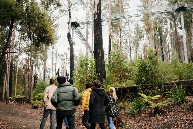 Hastings Caves, Tahune Airwalk and the Huon Tasting Trail - Key Points