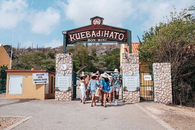 Hato Caves, Turtles & Beach - The Practical Side: Transportation, Duration, and Value