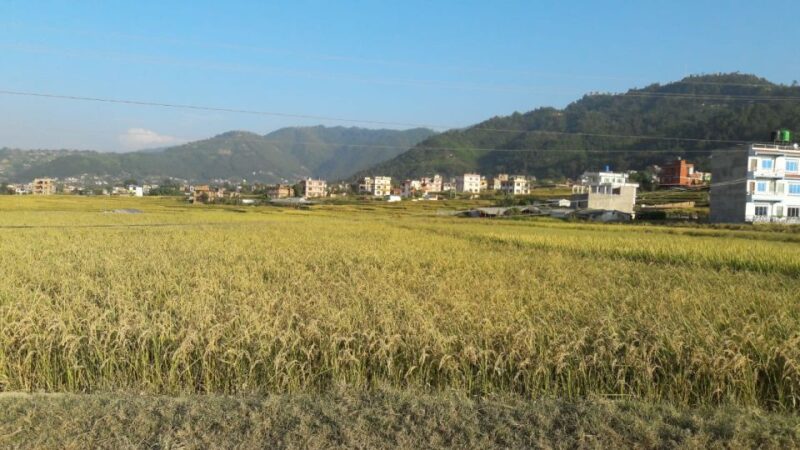 Hattiban - Champadevi: Day Hiking Tour - Why This Hike Stands Out