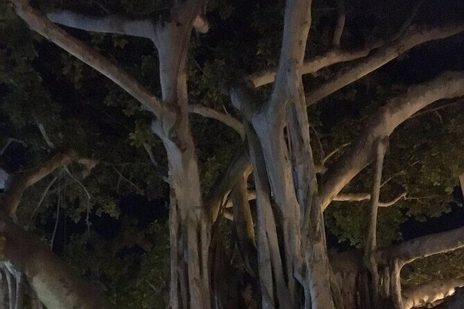 Haunted History of Fort Myers Walking Tour - The Cost and Value