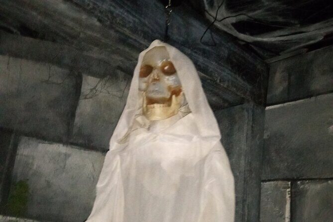 Haunted Mayfield Manor Haunted House Admission - Real-World Visitor Perspectives