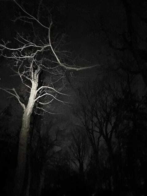 Haunted Mountain Ghost Walking Tour - Final Thoughts