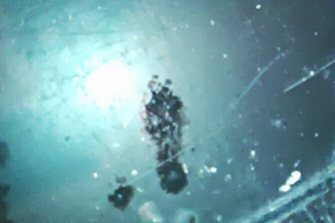 Haunted Nashville Night-Time Walking Tour with Costumed Guide - Final Thoughts: Is It Worth It?