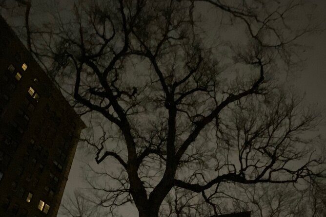 Haunted Village Walking Tour in New York City - What the Reviews Say (From the Data)