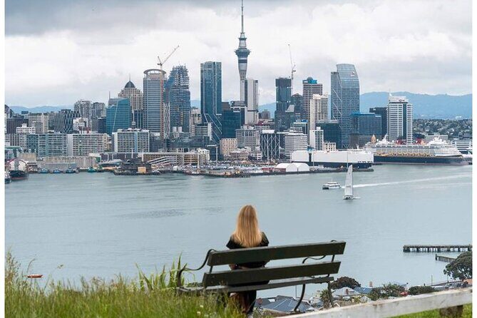 Hauraki Gulf and City Scenic Flight in Auckland Region - Who Will Love This Tour?