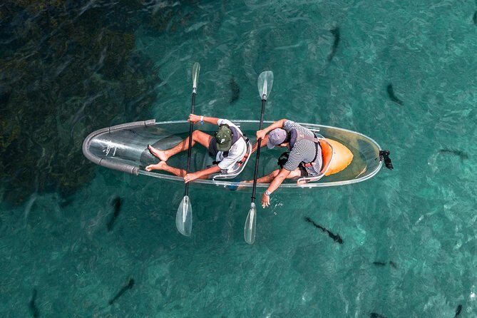 Hauraki Gulf and City Scenic Flight in Auckland Region - FAQ