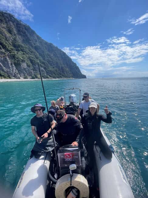 Hauraki Gulf: Hammerhead Experience Dive Charter - Key Points