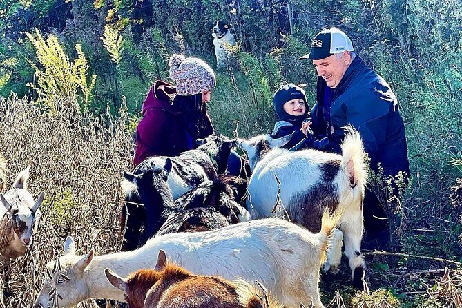 Haute Goat Shmurgle in Ontario - Key Points