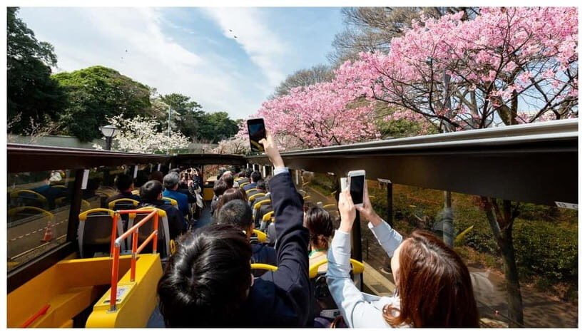 Have Fun in TOKYO Pass (1 Week Free Pass) - How the Pass Works and What It Means for You