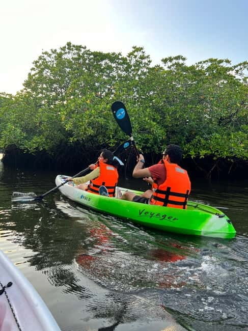 Havelock: Bioluminescence and Mangrove Kayaking Tour - Key Points