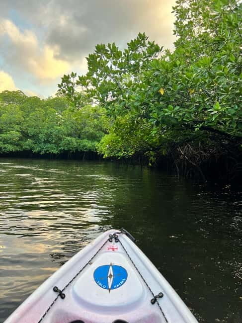 Havelock: Bioluminescence and Mangrove Kayaking Tour - Who Will Appreciate This Tour?